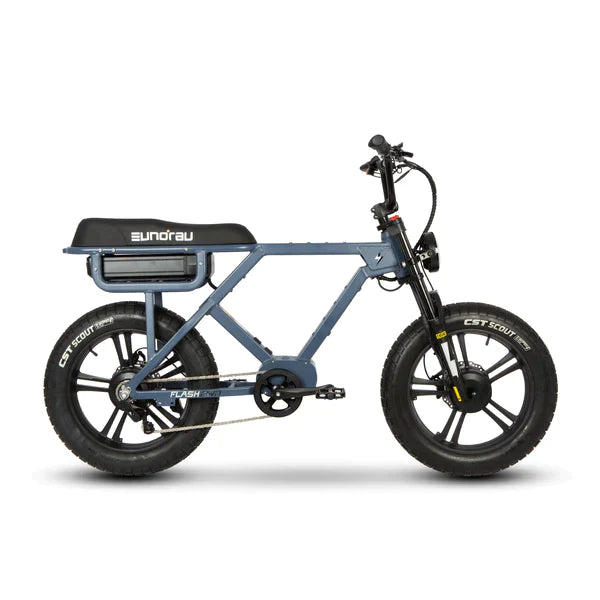 Flash – West Michigan eBikes